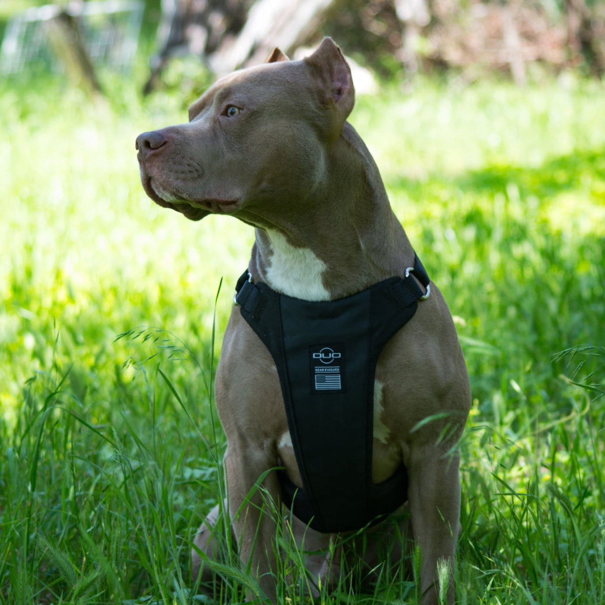 DUO HARNESSES – DUO TECHNICAL GEAR