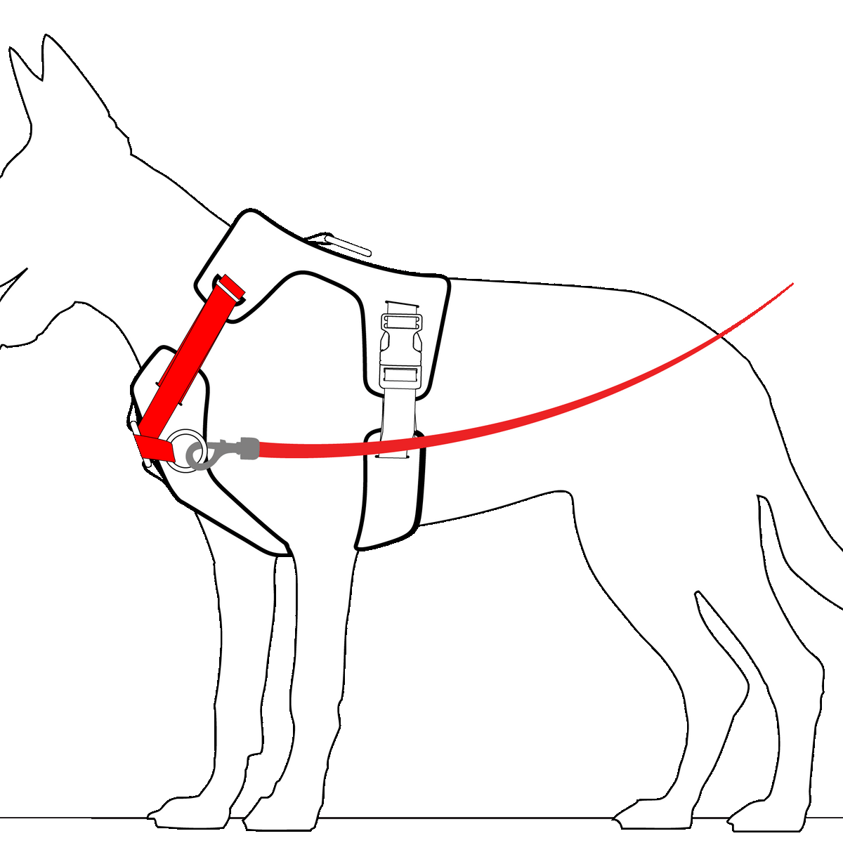 DUO 'DIRECT LIGHT' NO PULL HARNESS – DUO TECHNICAL GEAR