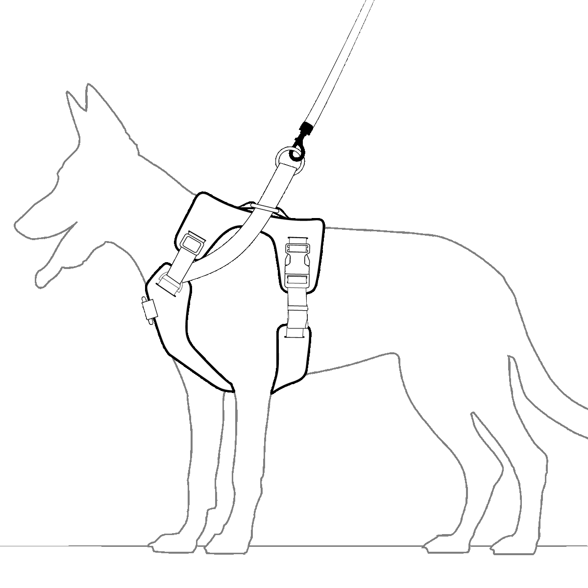 DUO 'Adapt' Original No Slip Dog Harness – DUO TECHNICAL GEAR